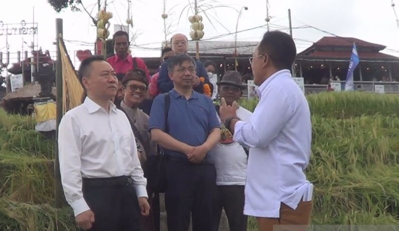 WALHI Bali Desak Pemerintah Stop Proyek yang Merusak Subak dan Rakus ...